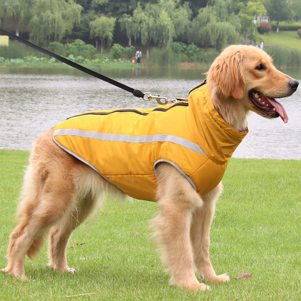 Homepage - Sarah Pet Products