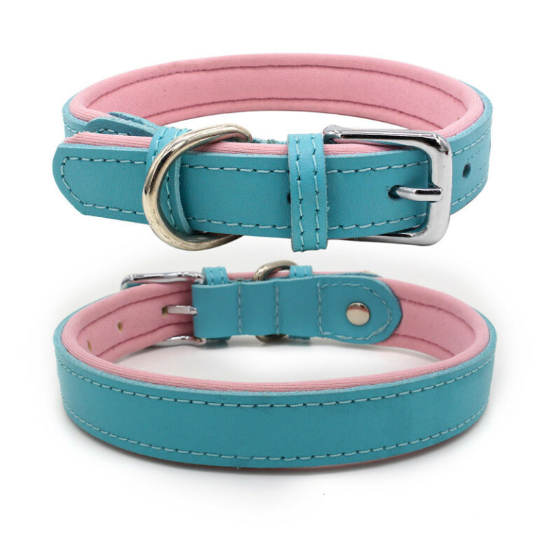 Homepage - Sarah Pet Products