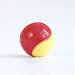 Dog Chew Toy with Squeaker