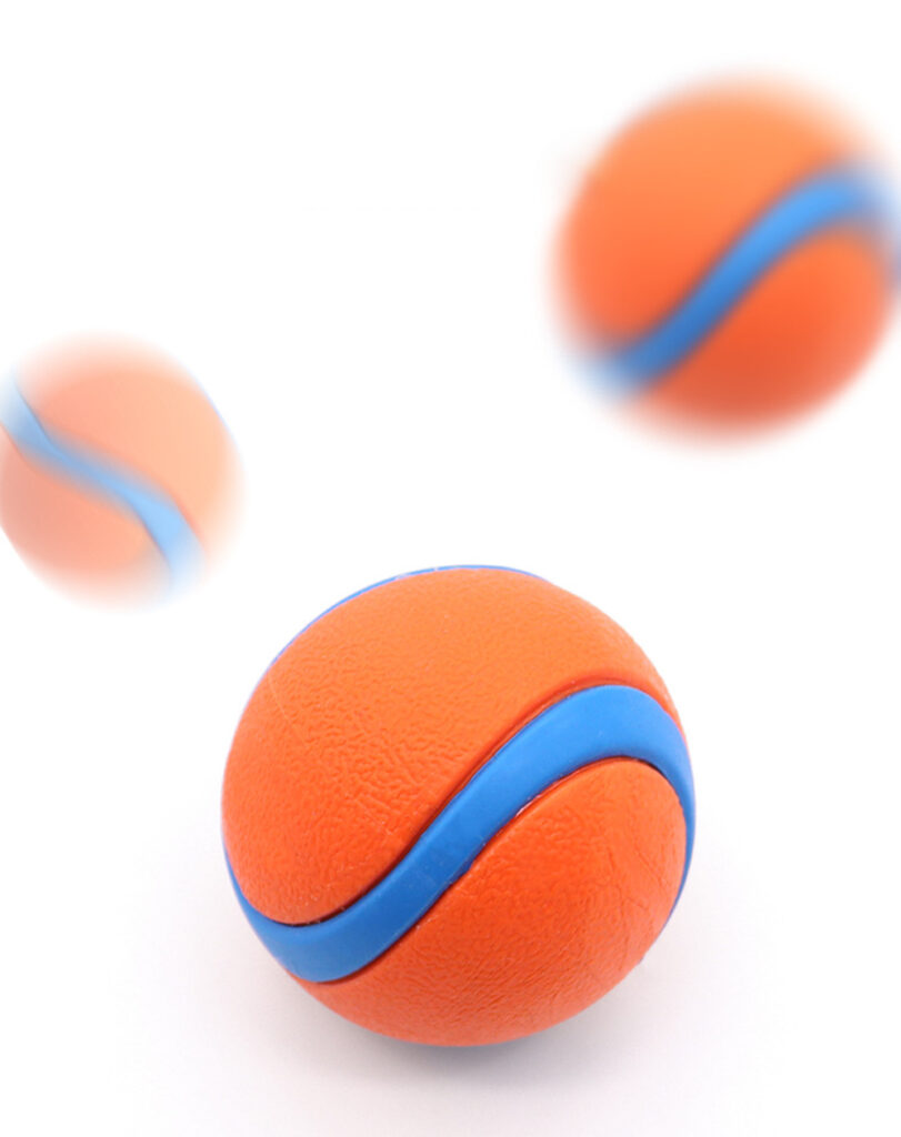 Dog Chew Toy with Squeaker