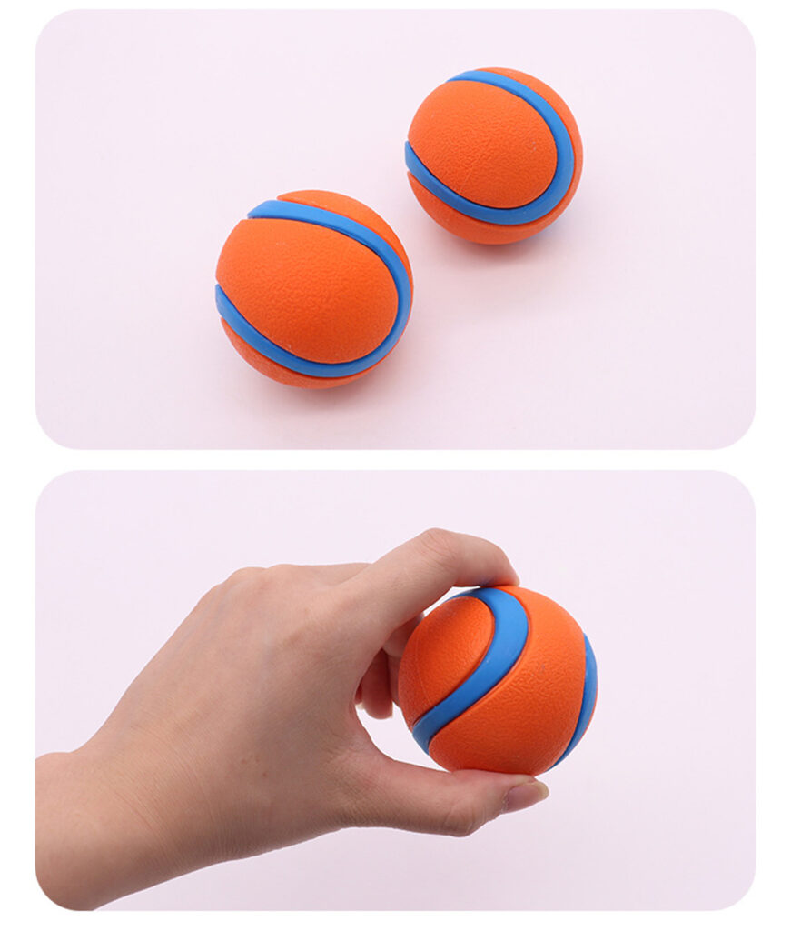 Dog Chew Toy with Squeaker