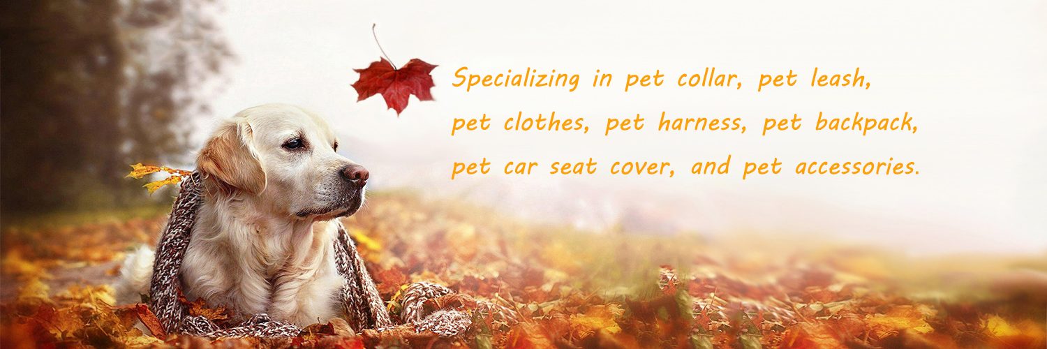 Homepage - Sarah Pet Products